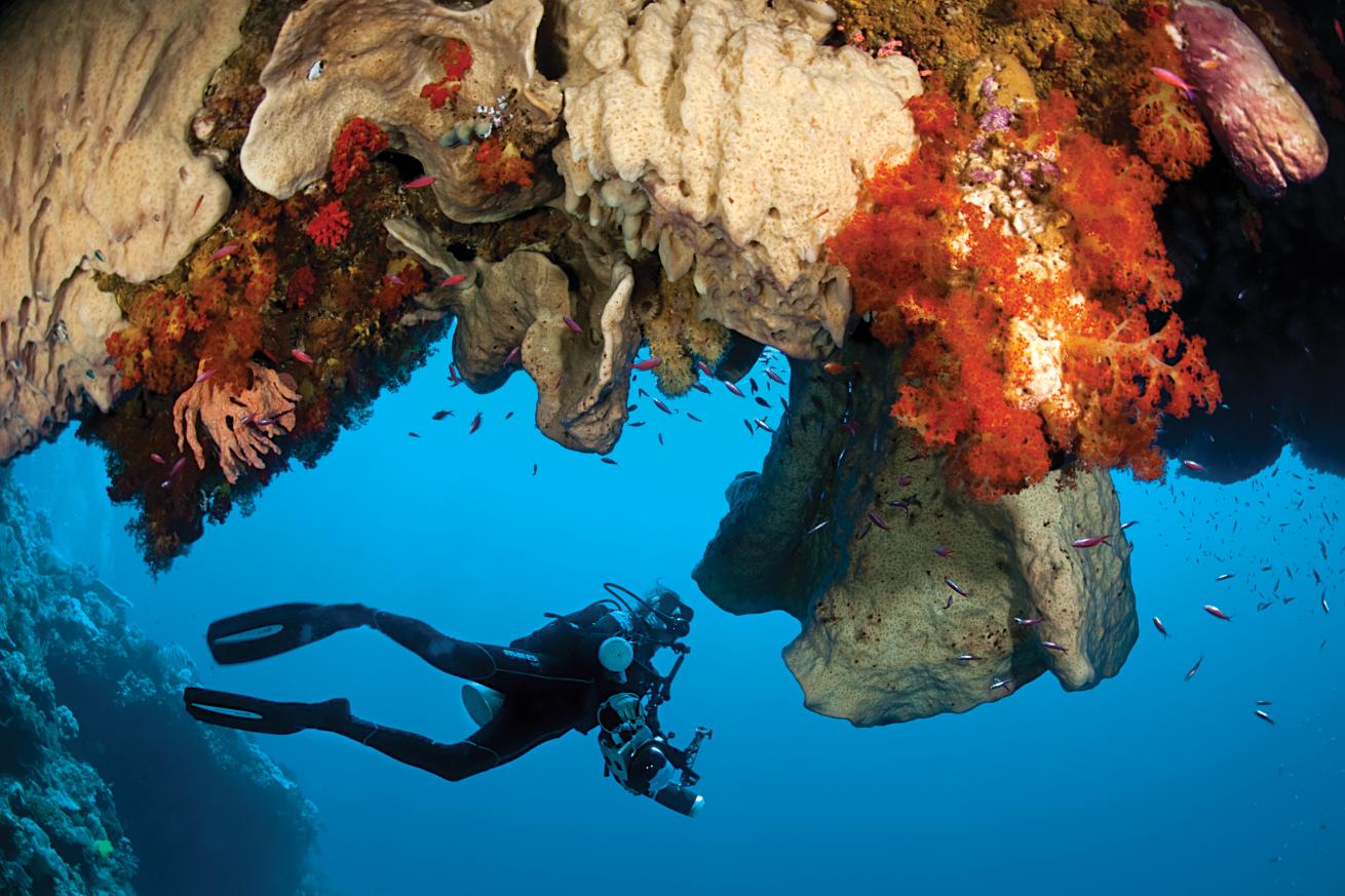 Scuba Diving Top 100: Best Overall Destinations | Scuba Diving